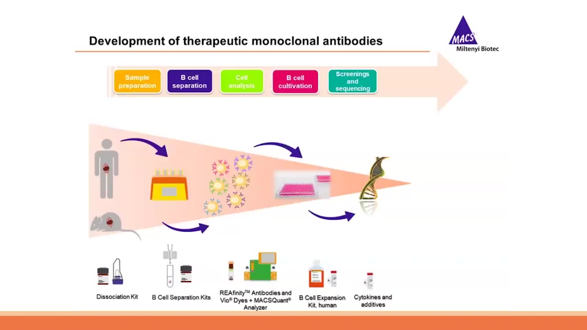 B cell activation | Single b cell sorting | Miltenyi | Deutschland ...