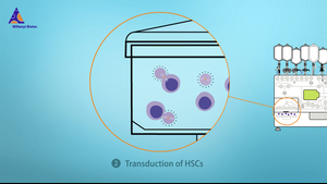 Video library | Miltenyi Biotec | 대한민국