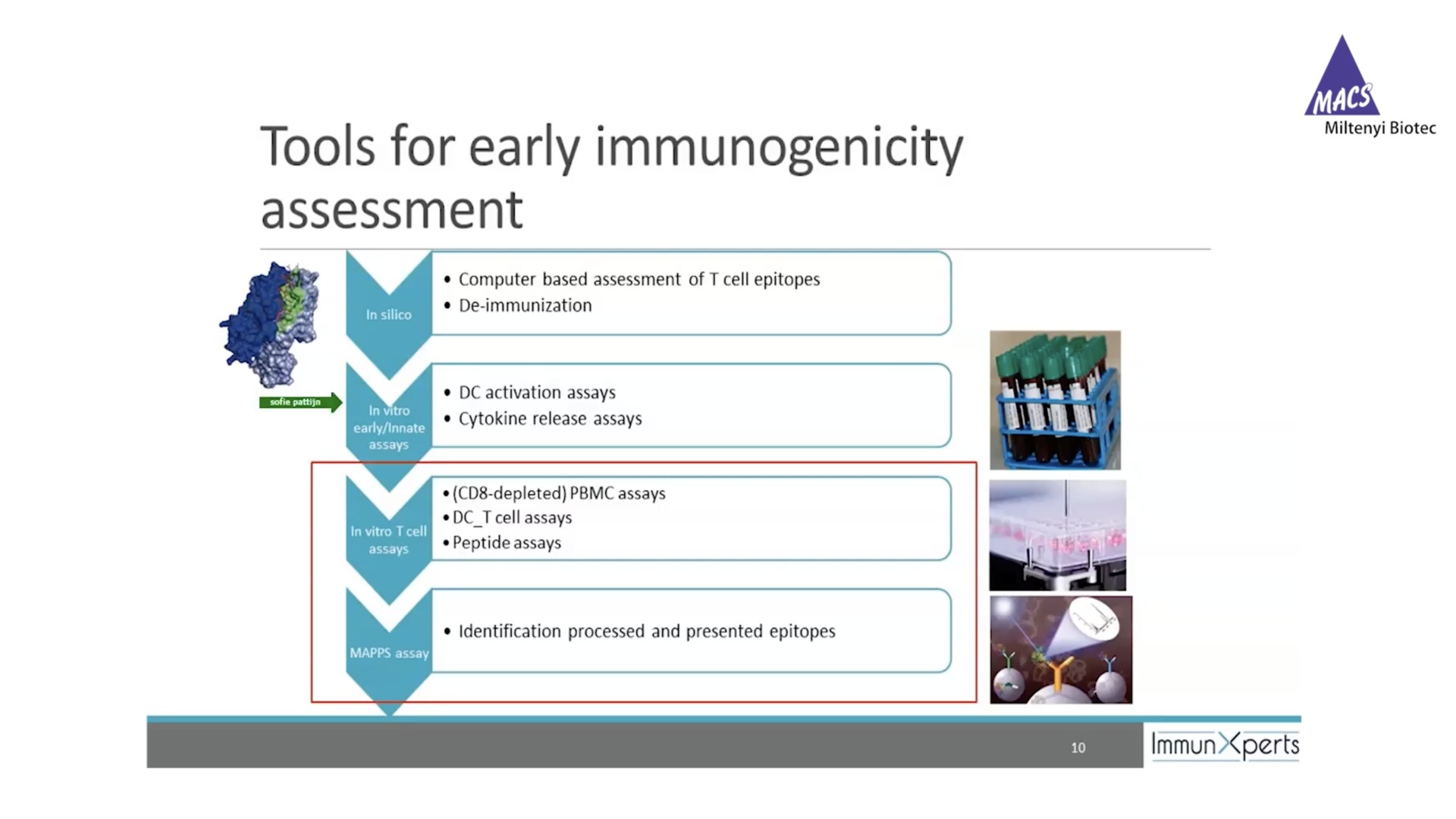 Immunogenicity testing | Immunogenicity assay | Miltenyi | Miltenyi ...