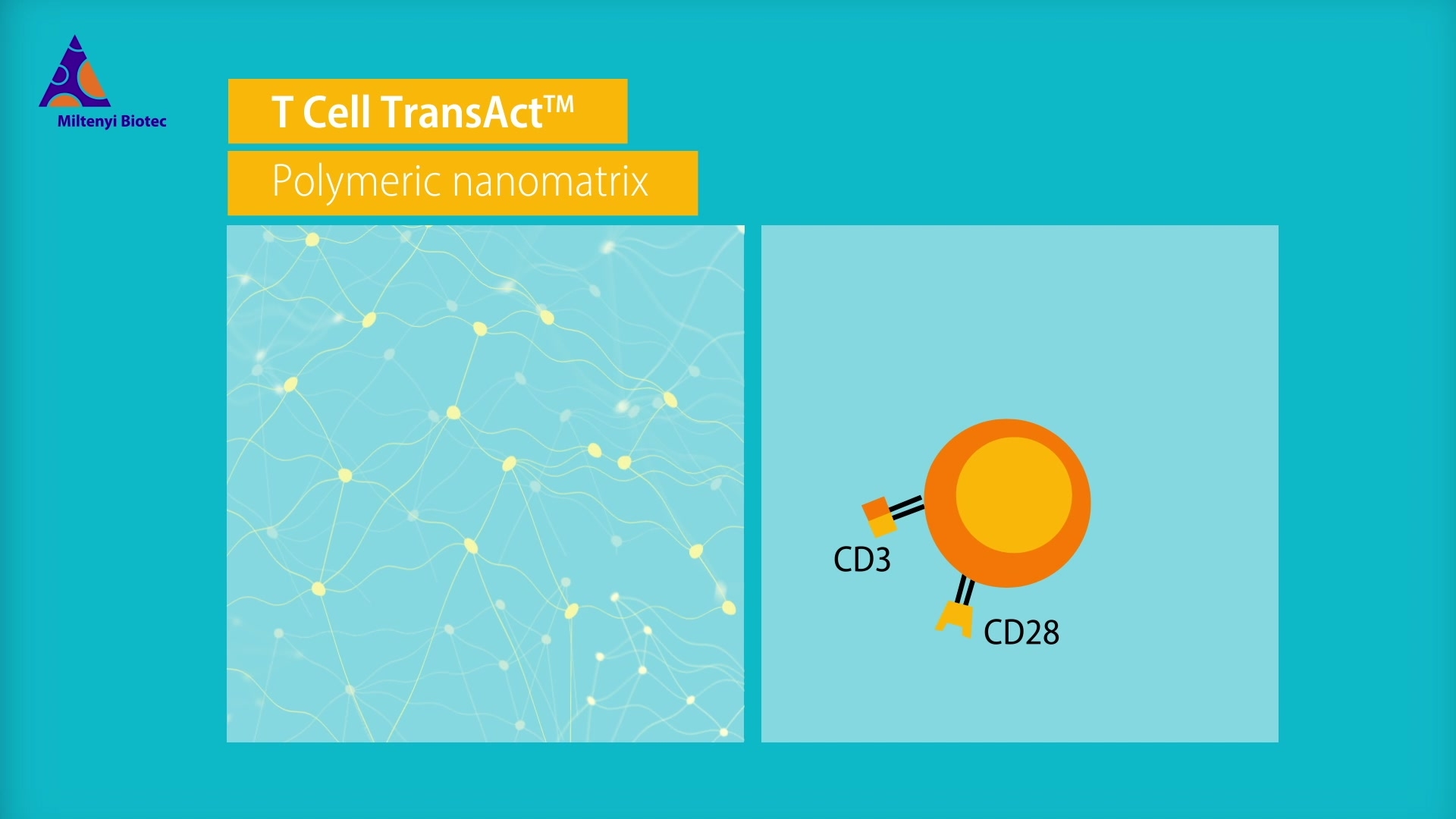 CAR T cell research | Gene delivery | Miltenyi | Miltenyi Biotec | 대한민국