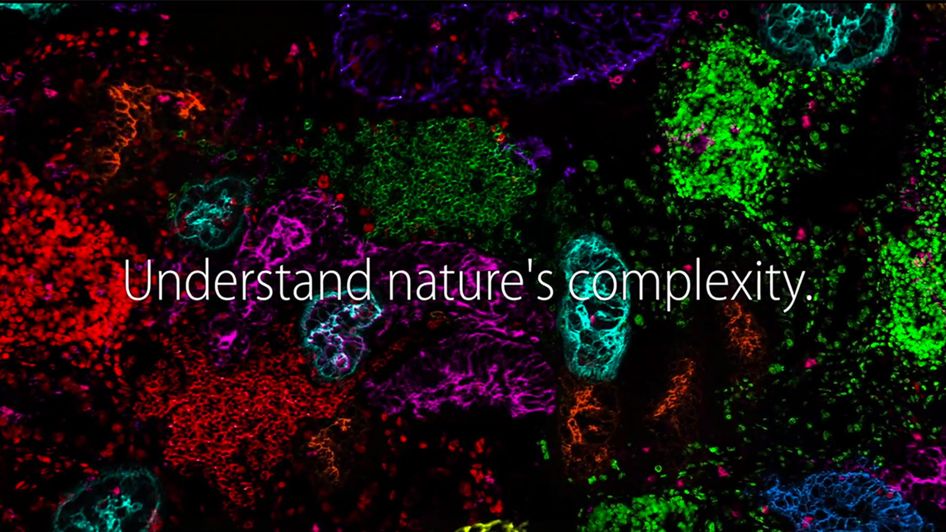 MACSima™ System | MACSima Imaging System | Ultra high content imaging ...