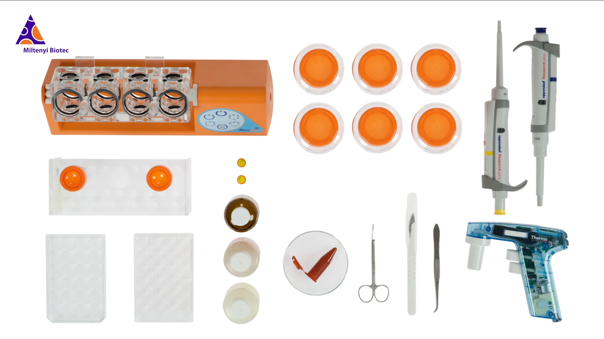 Tissue clearing protocol | Immunostaining | Miltenyi Biotec | Great Britain