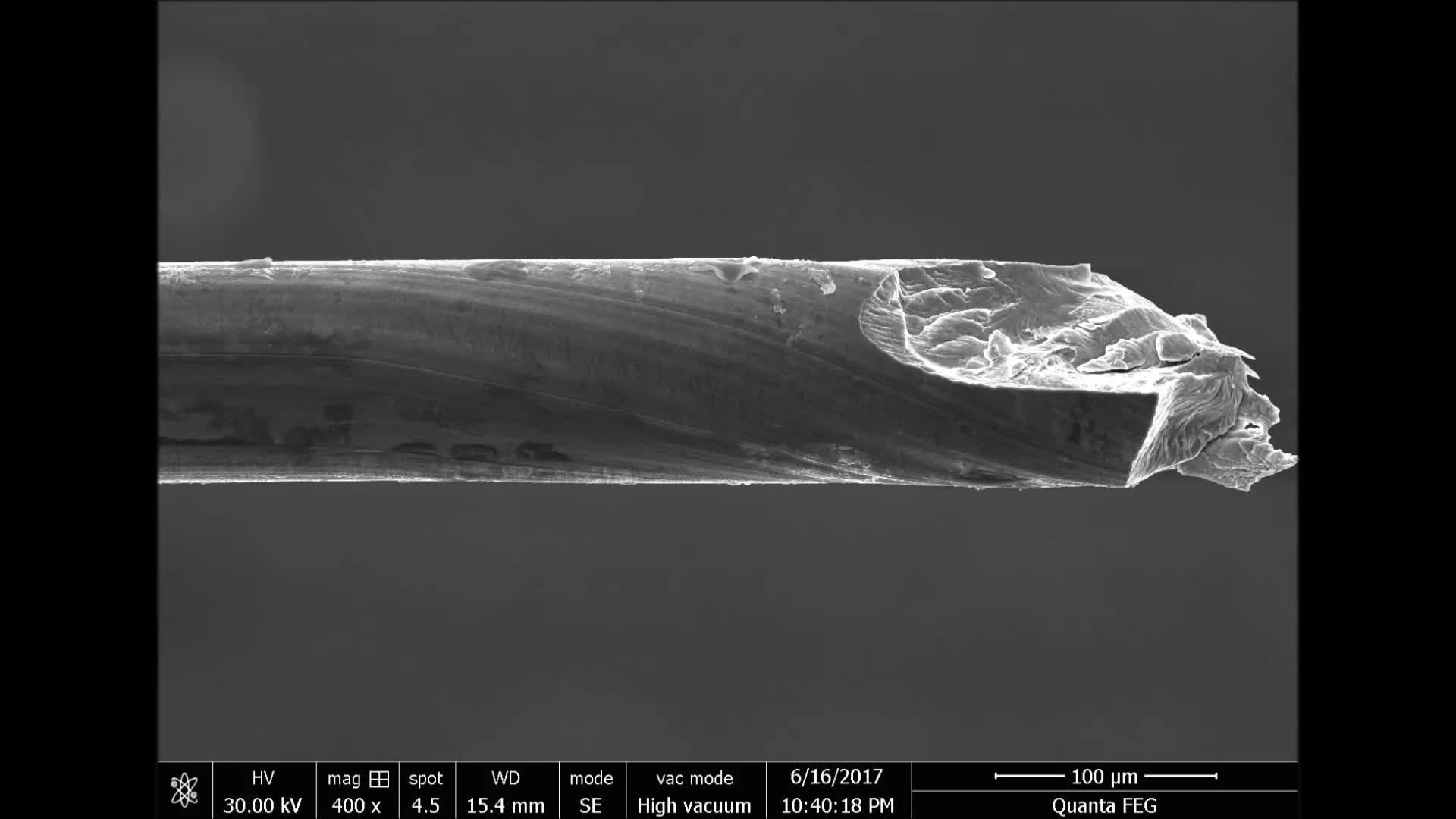 Obsidian Scalpel Electron Microscope