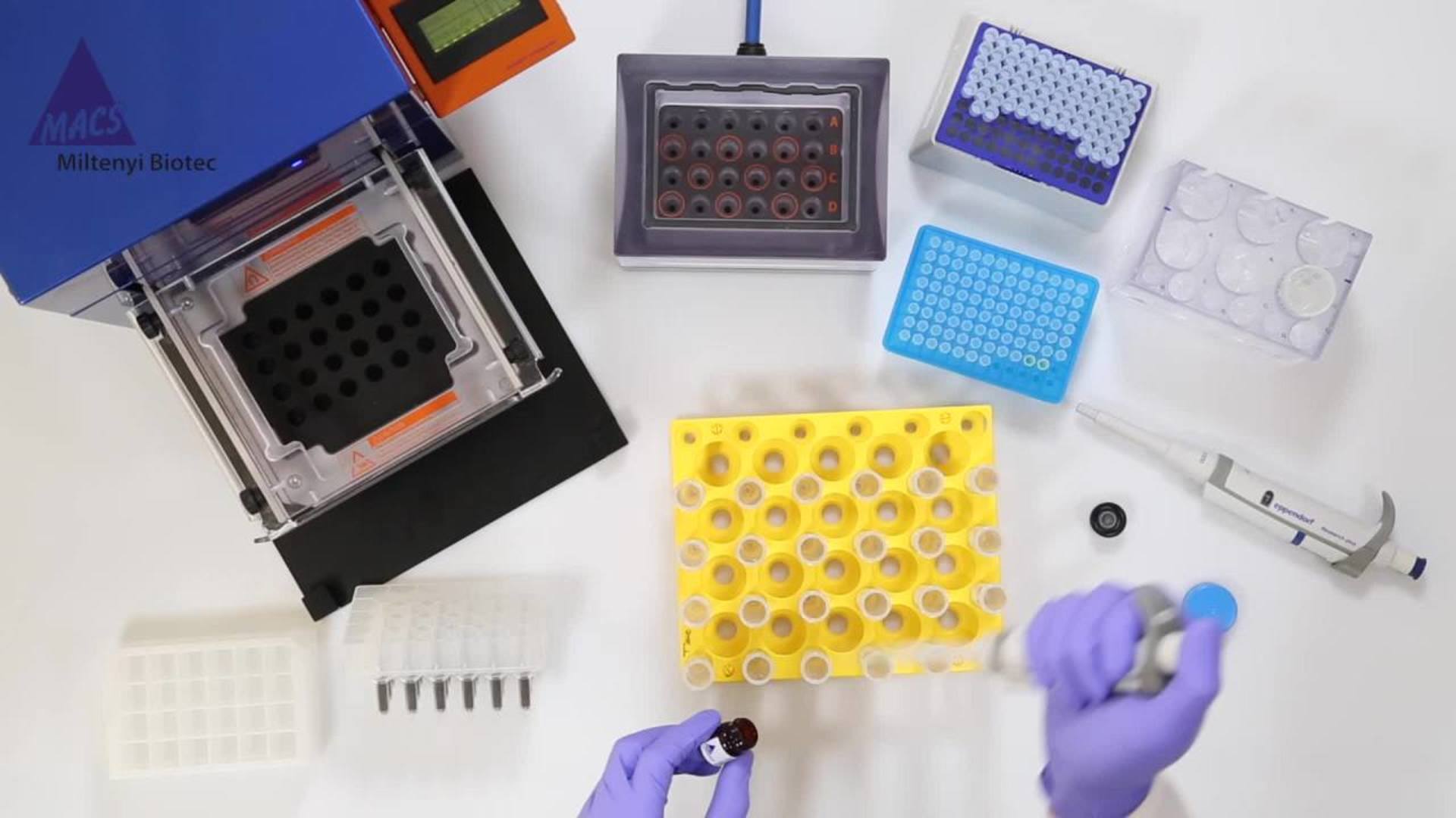 MultiMACS™ Cell24 Separator Plus | Cell separation using magnetic beads ...