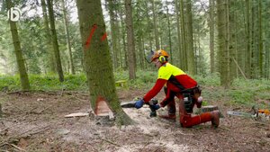 BERUFENET - Bundesagentur für Arbeit